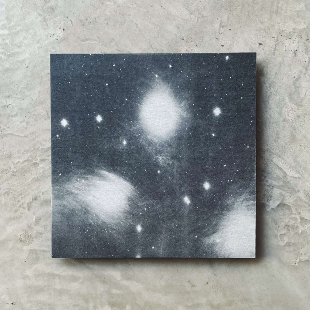 Grouper – A I A : Alien Observer [LP] - 春の雨 cafe & records